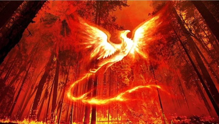 Phoenix Symbolism & Meaning: Ultimate Guide - NextDreaming